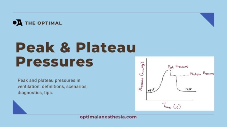 Peak Airway Pressure and Plateau Pressure on Ventilator: An Overview ...
