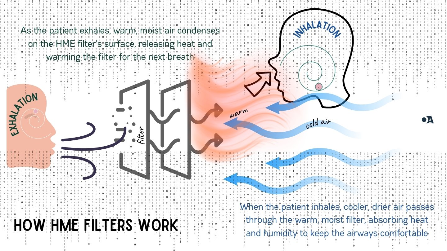 Mastering Heat and Moisture Exchange Filters: An Anesthesiologist’s ...